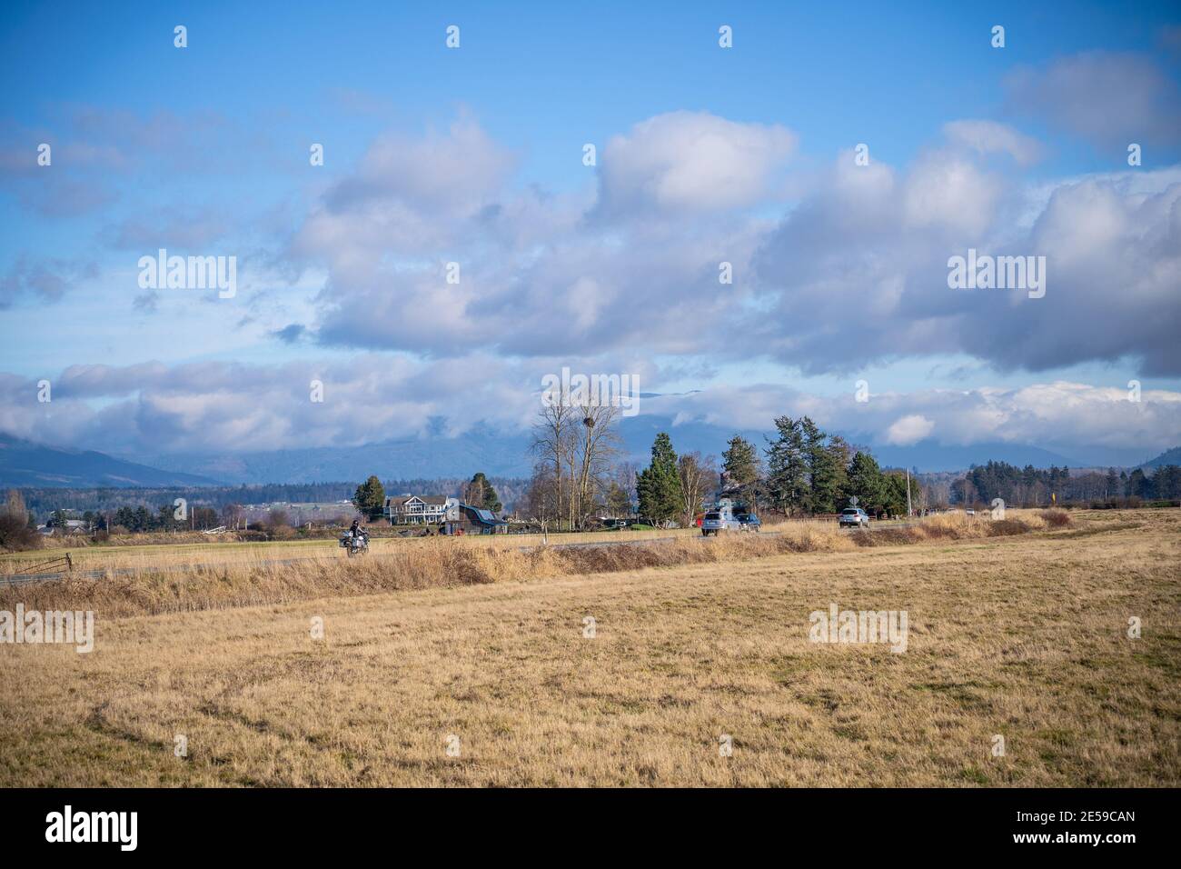 Skagit river eagle hi-res stock photography and images - Alamy