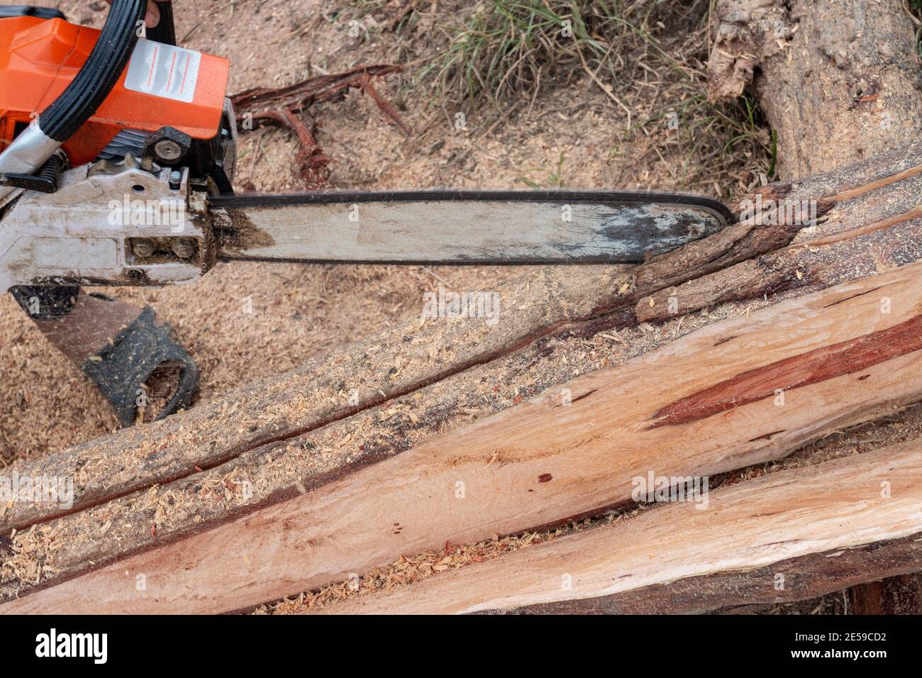 The worker works with a chainsaw. Chainsaw close up. Woodcutter saws ...