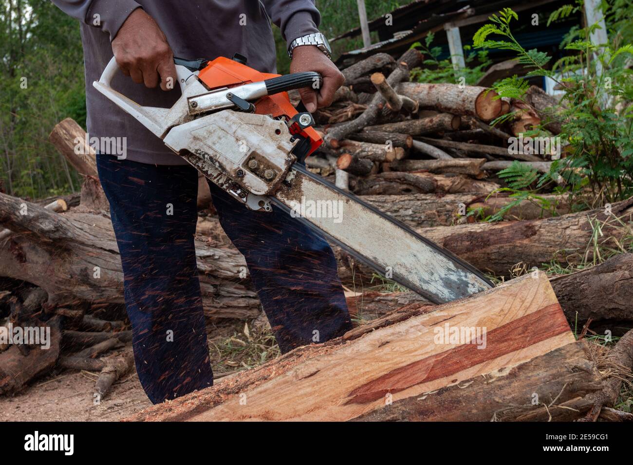The worker works with a chainsaw. Chainsaw close up. Woodcutter saws ...