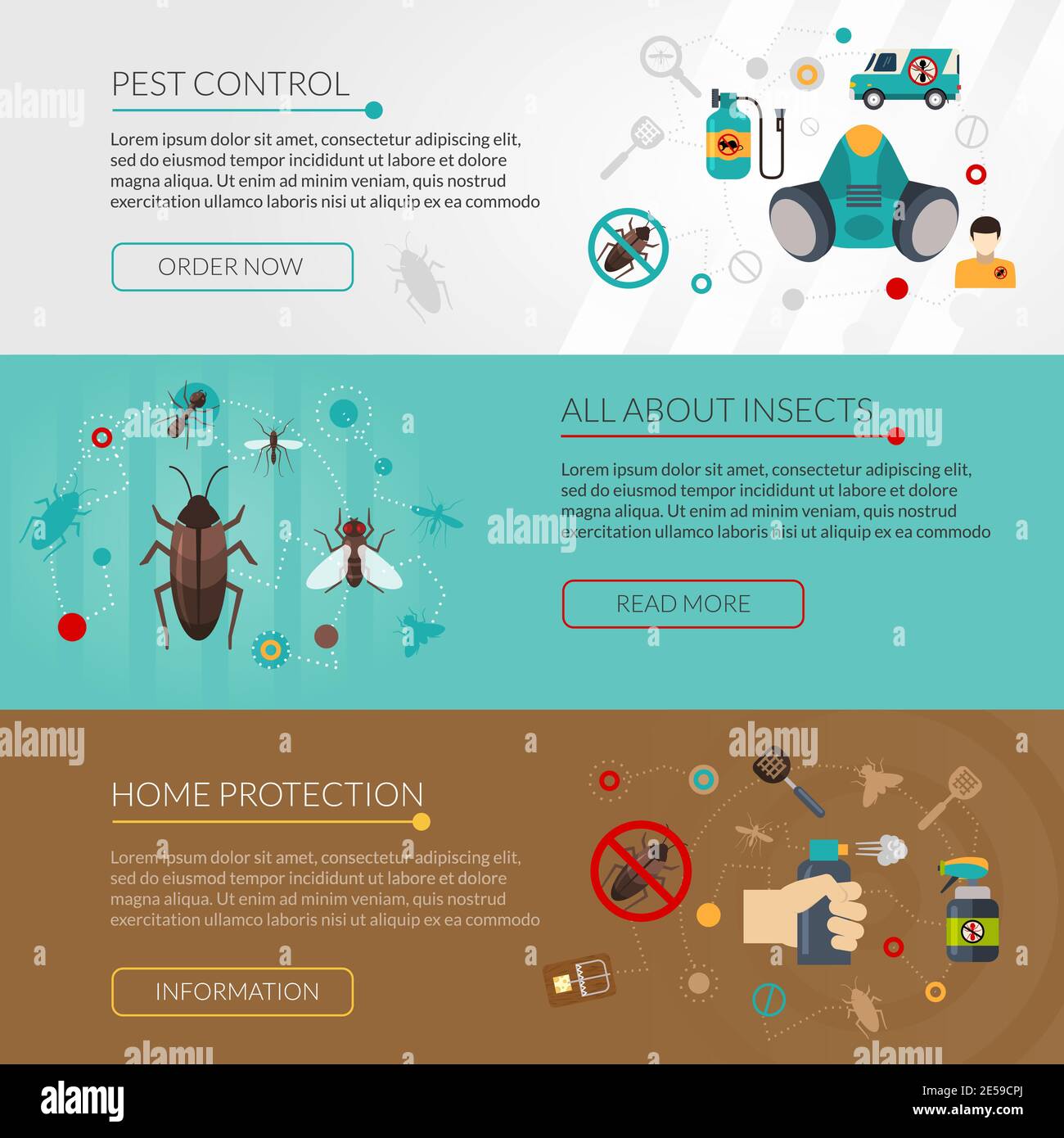 Interactive website for information about insects pest control and ...