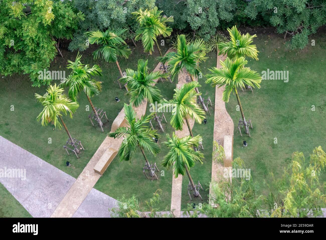 Top view aerial photo of a city park with walking path and green zone ...