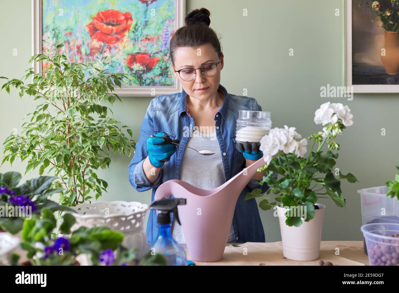 Fertilizing houseplants hi-res stock photography and images - Alamy