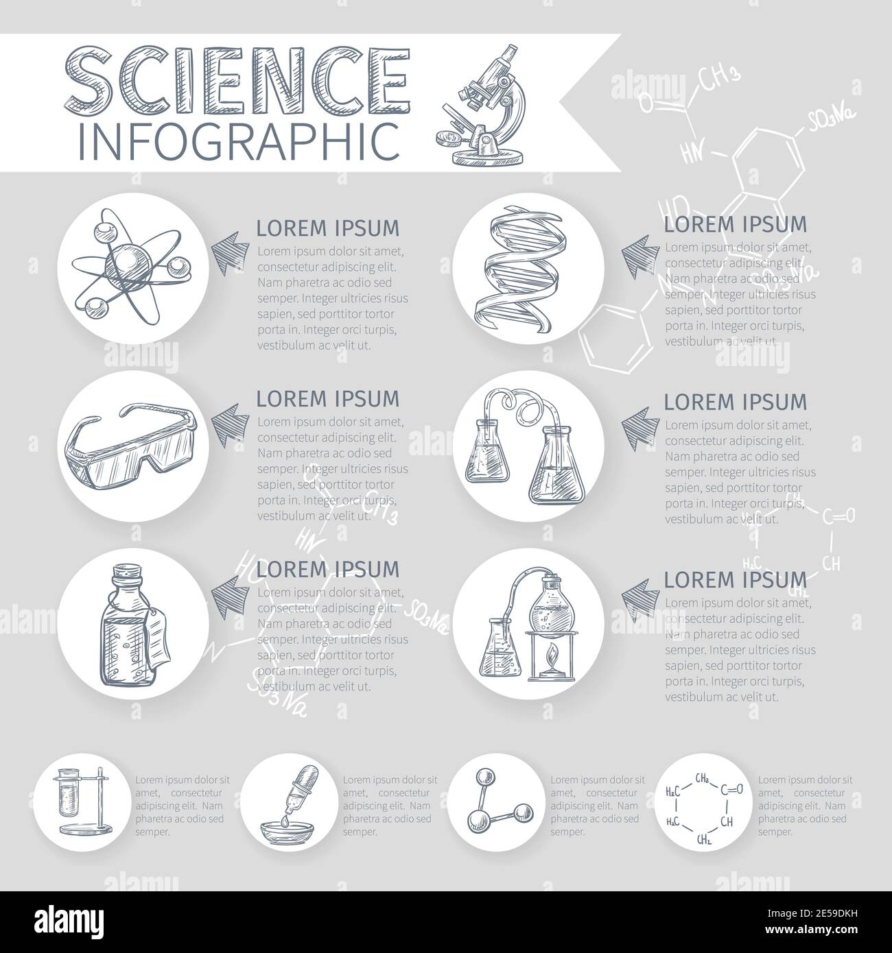 Science sketch infographic set with chemical and school symbols vector ...