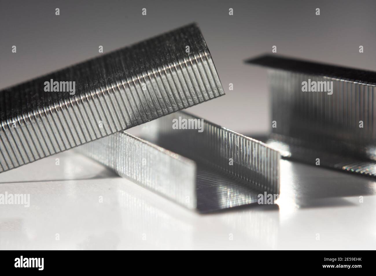 Stapler standing in a row isolated on white background. Staple on top ...