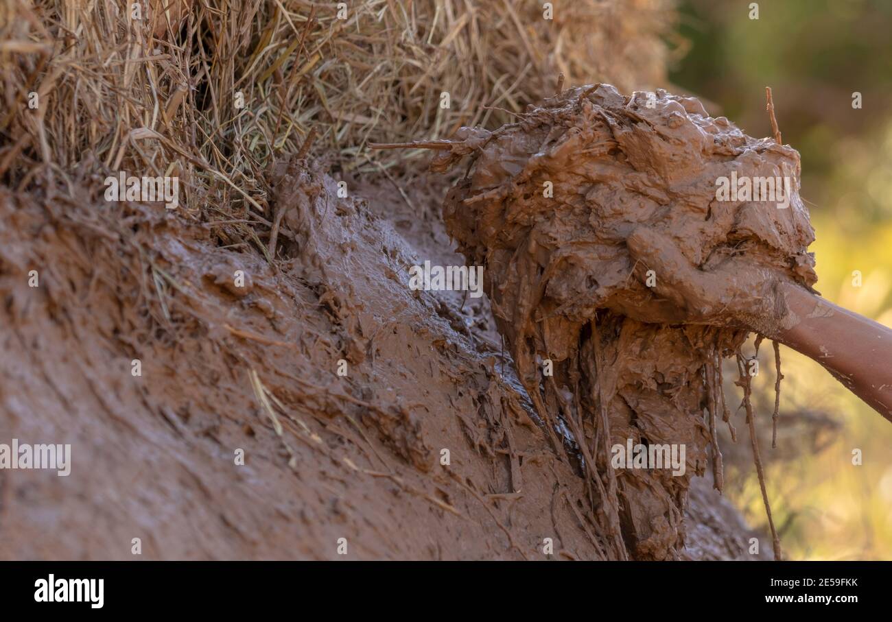 Close-up man's hand holding the clay mixed with dry rice straw to make ...