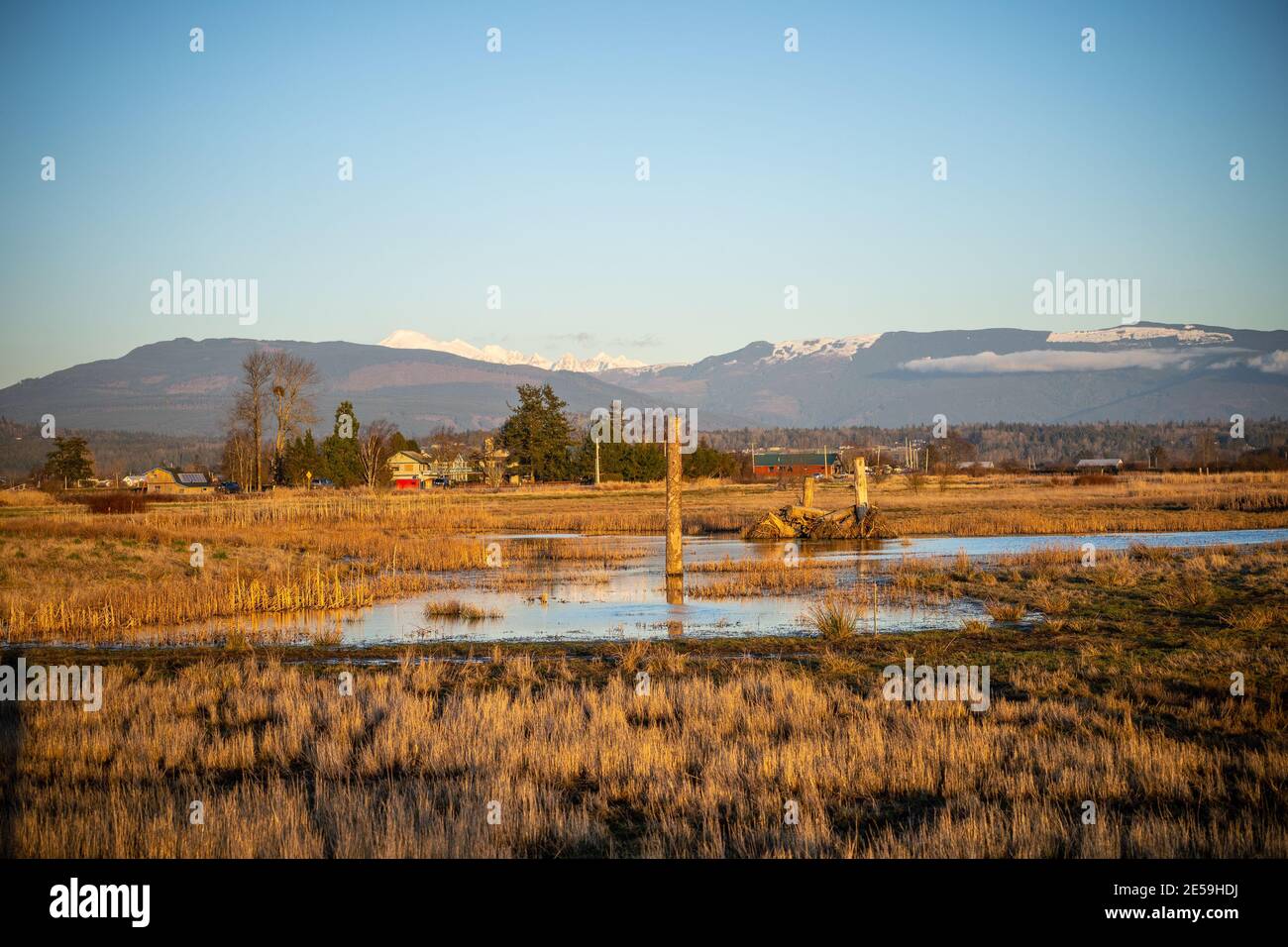 Samish Unit is comprised of agricultural fields and wetlands, located ...