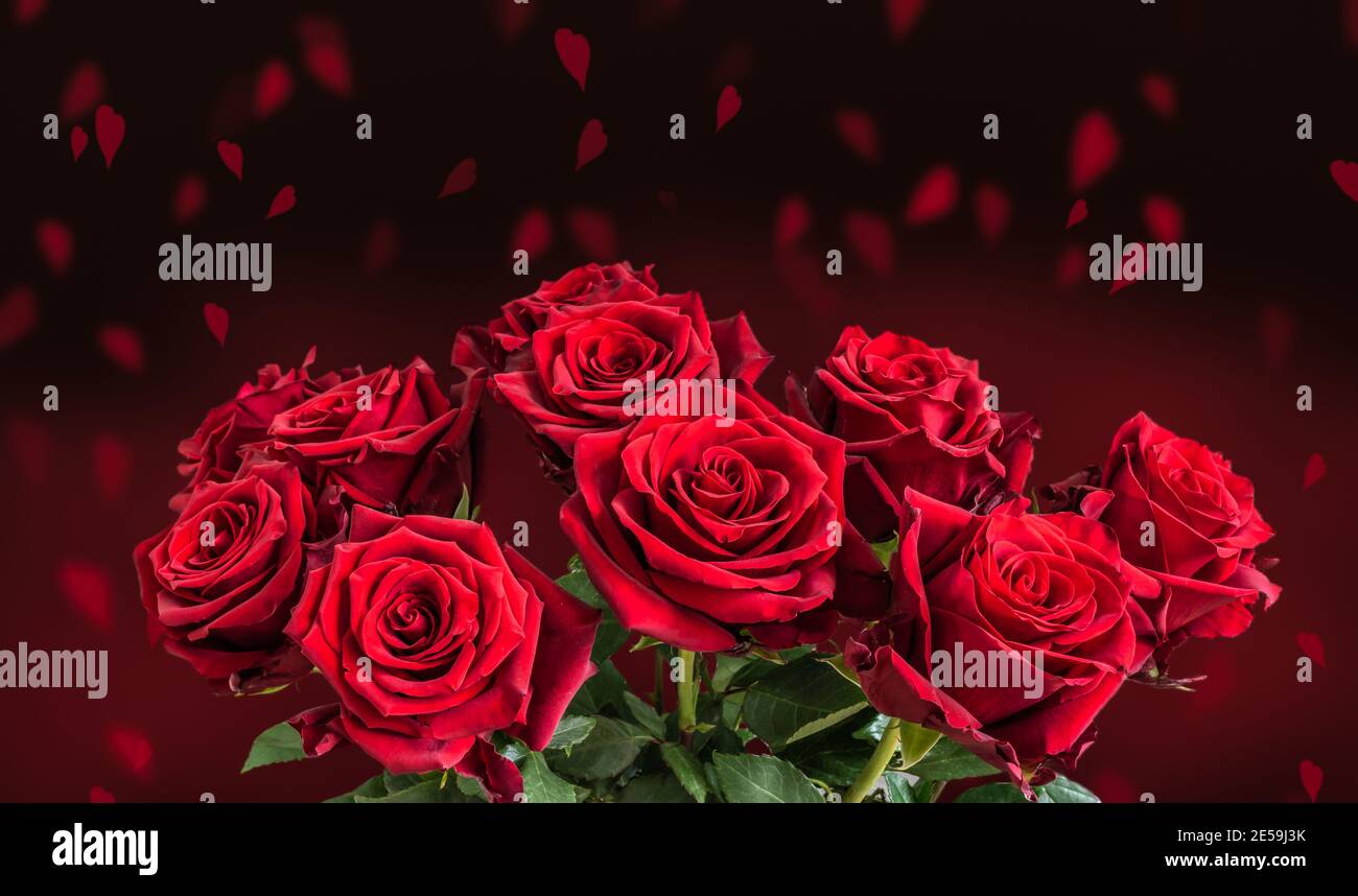 Rose bouquet valentines day hi-res stock photography and images - Alamy