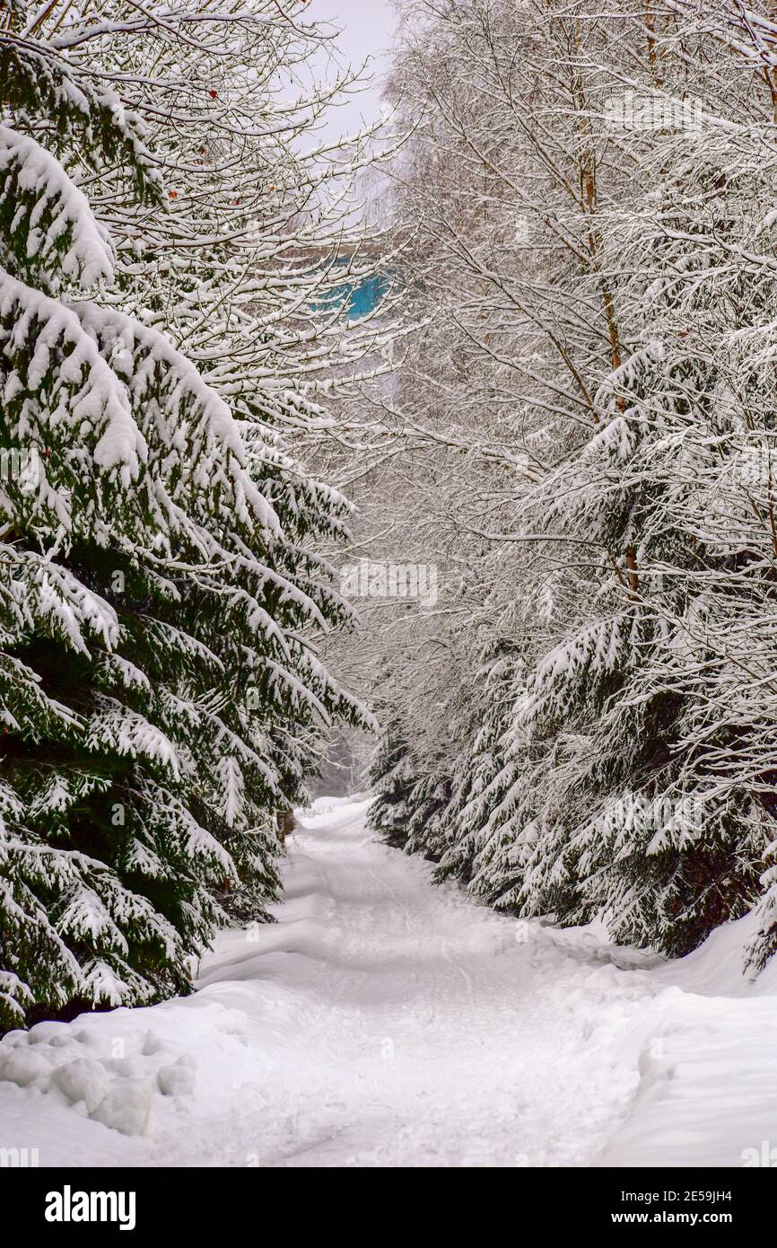 Kalte winterlandschaft hi-res stock photography and images - Alamy
