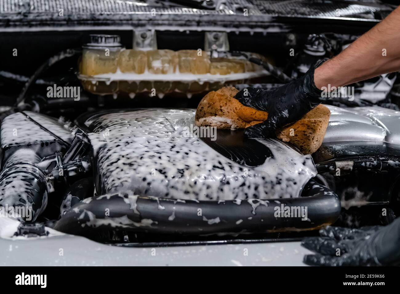 Soapy sponge hi-res stock photography and images - Alamy