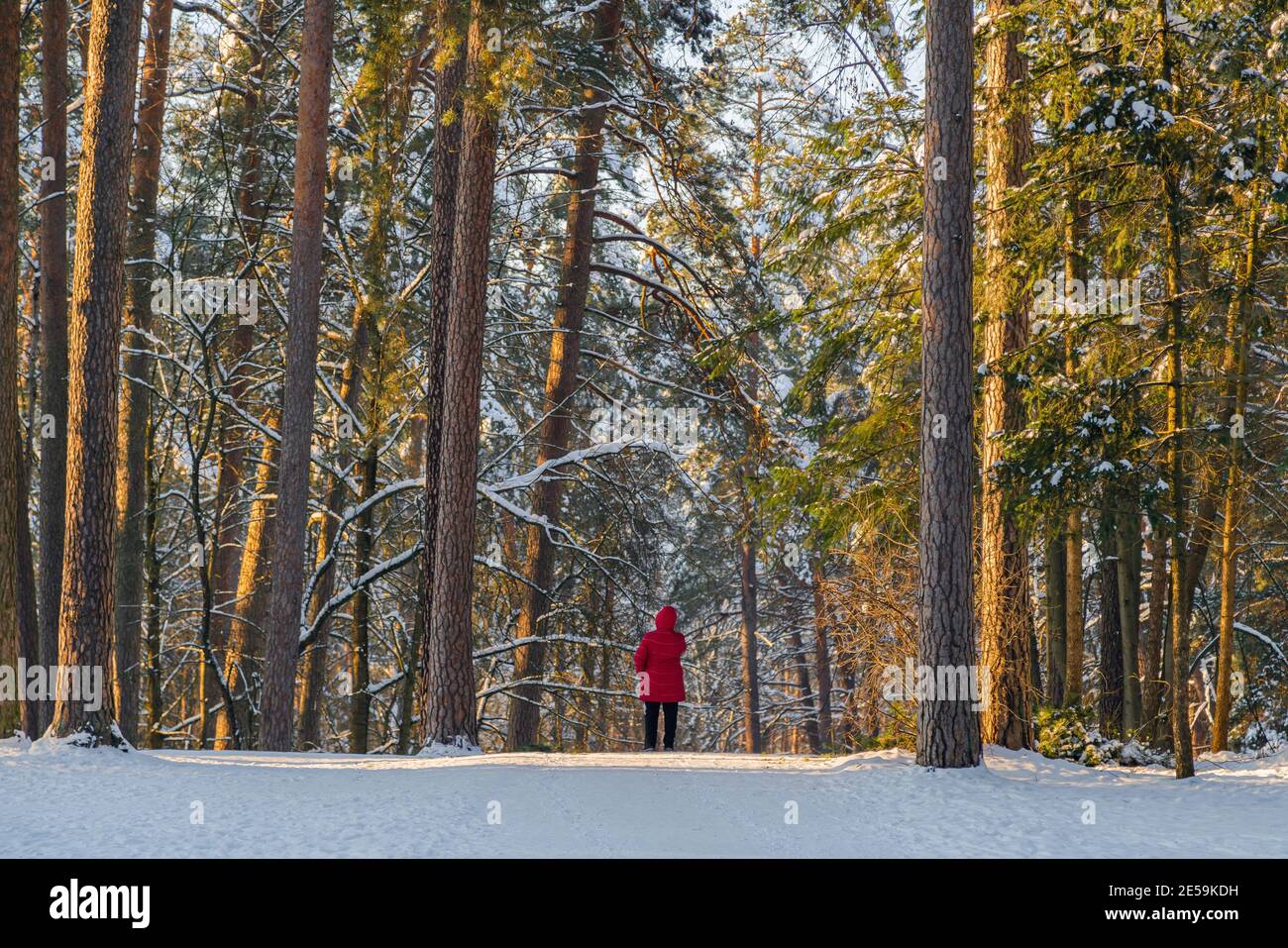 Person in red jacket hi-res stock photography and images - Alamy