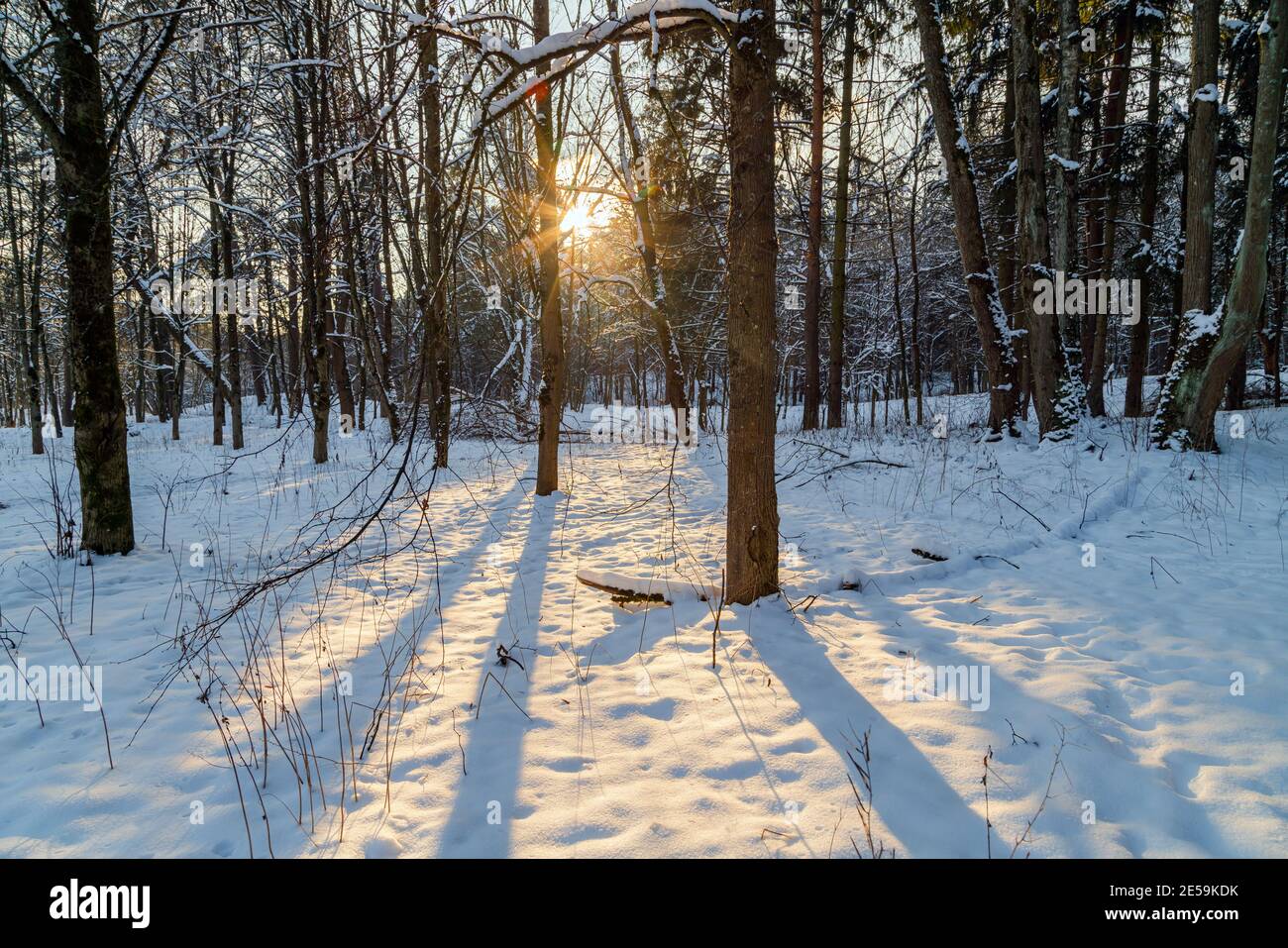 Cold scenery hi-res stock photography and images - Alamy