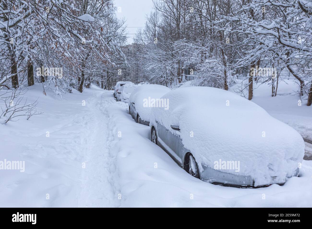Vehicles covered with snow in the winter blizzard in the parking lot ...