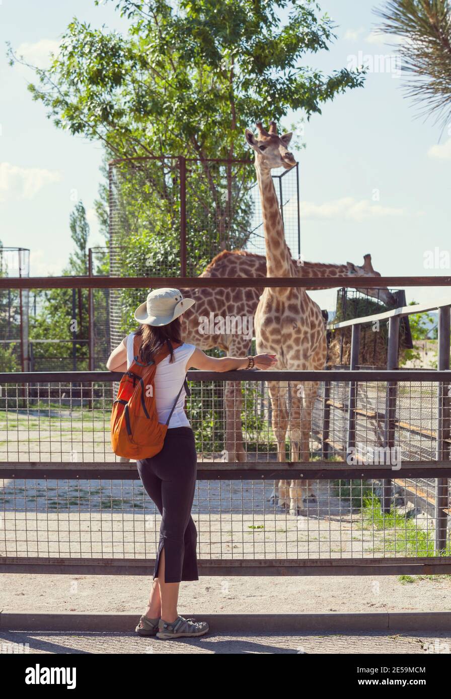 Young woman near giraffe in Zoo Stock Photo - Alamy
