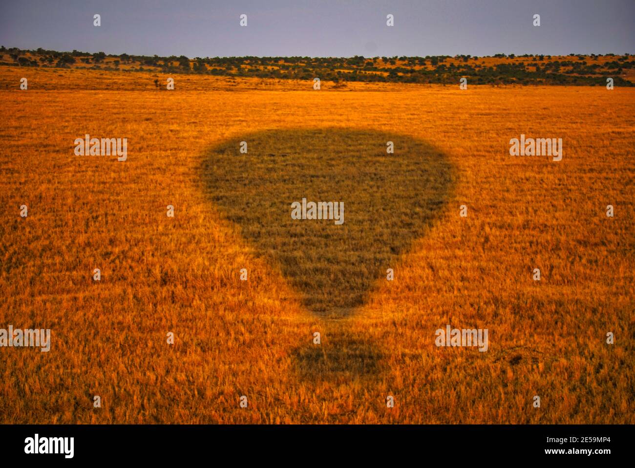 The shadow of the hot air balloon is cast on the yellow grassland ...