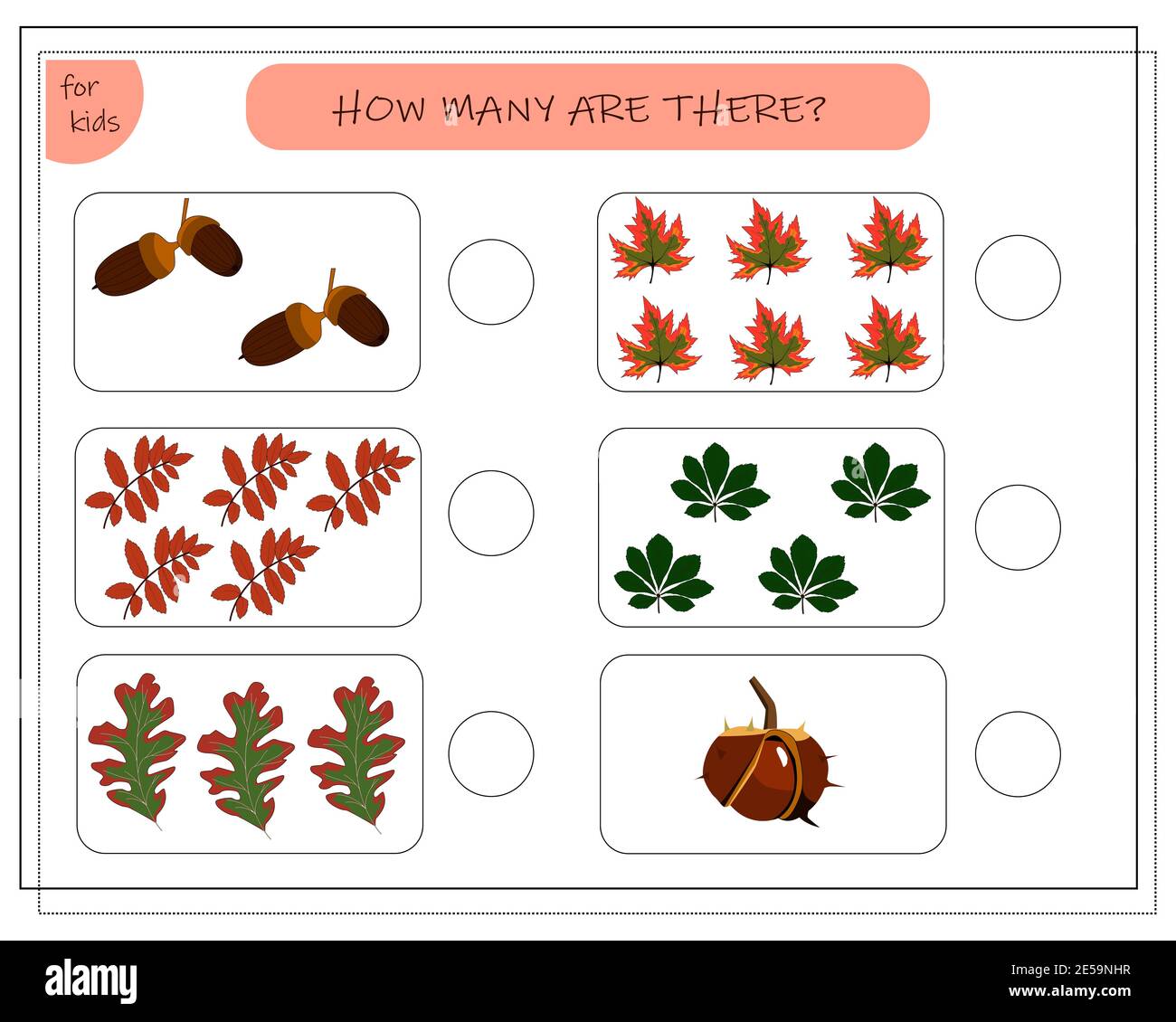 Chestnut coloring page Cut Out Stock Images & Pictures - Alamy