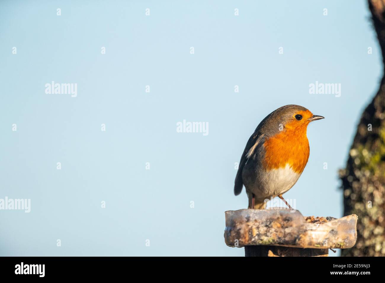 Victorian postmen hi-res stock photography and images - Alamy