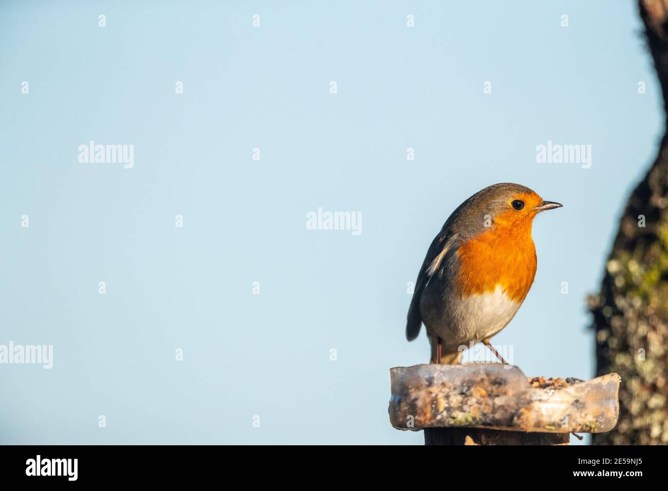 Territorial victorian hi-res stock photography and images - Alamy