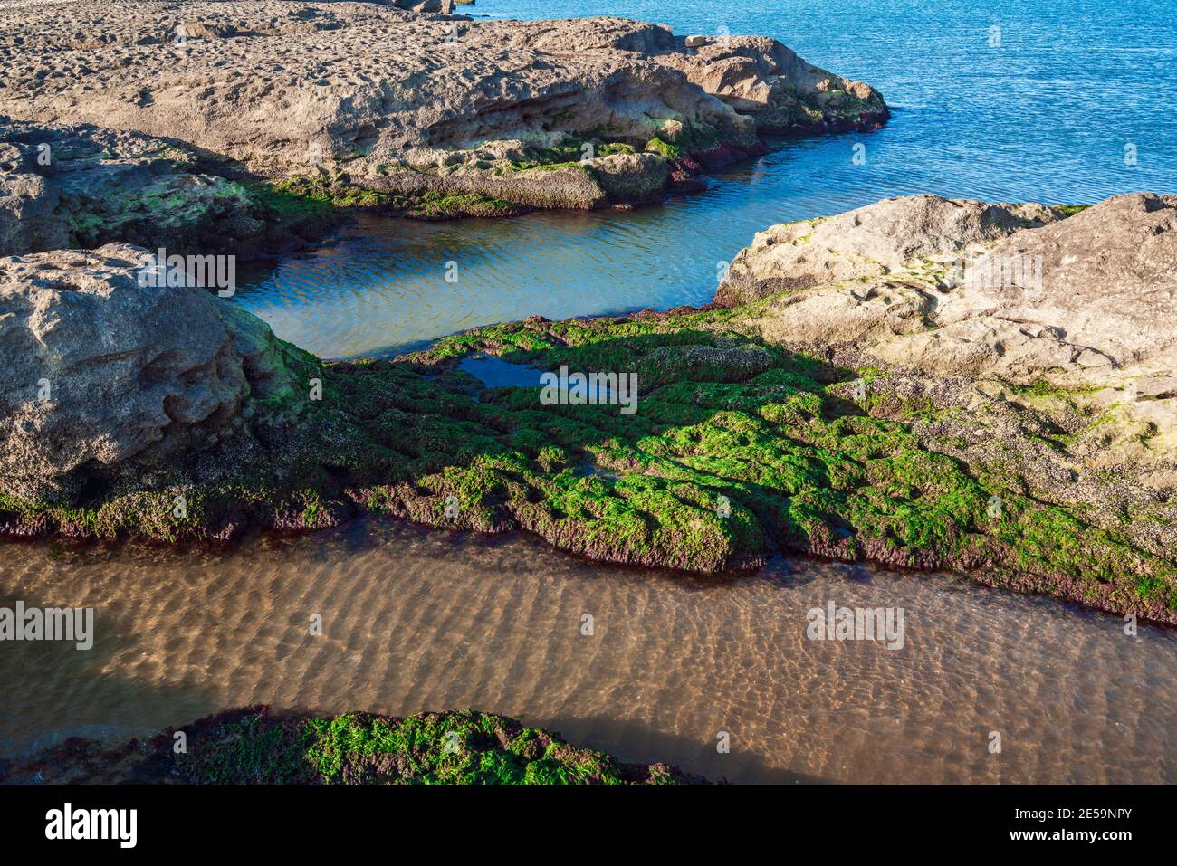 Rocky coast with grass and seaweed hi-res stock photography and images ...