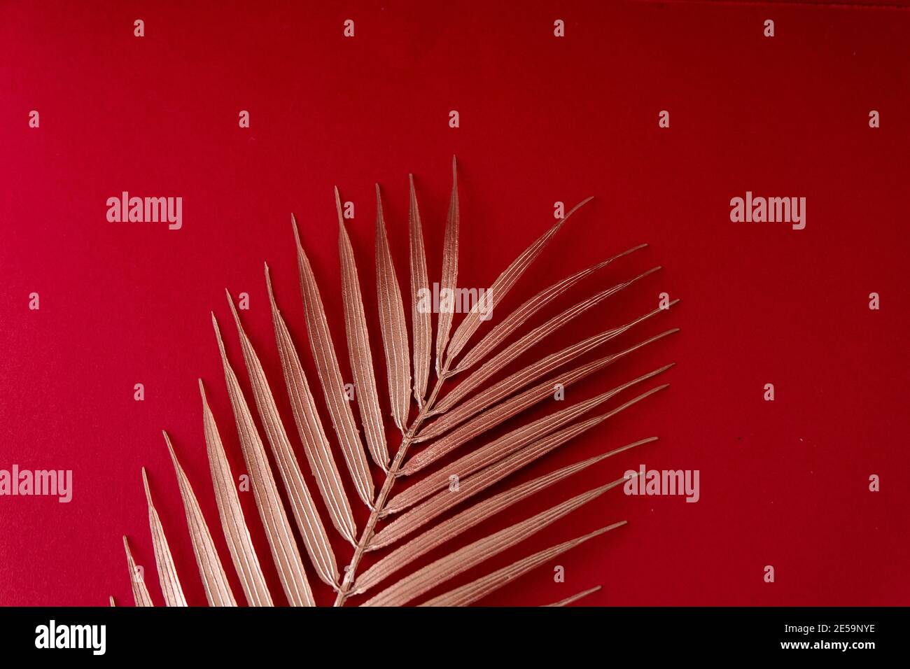 Shiny gold glossy leaf of palm tree isolated on red background. Flat ...