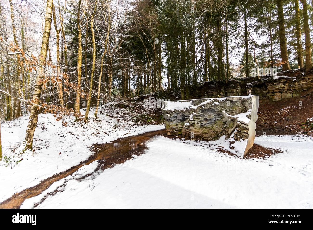 "Echo" by Annie Cattrell. A walk in the snow along the Forest of Dean ...
