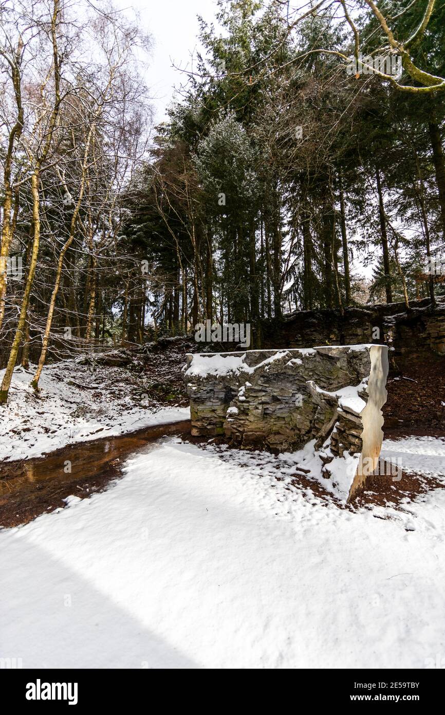"Echo" by Annie Cattrell. A walk in the snow along the Forest of Dean ...