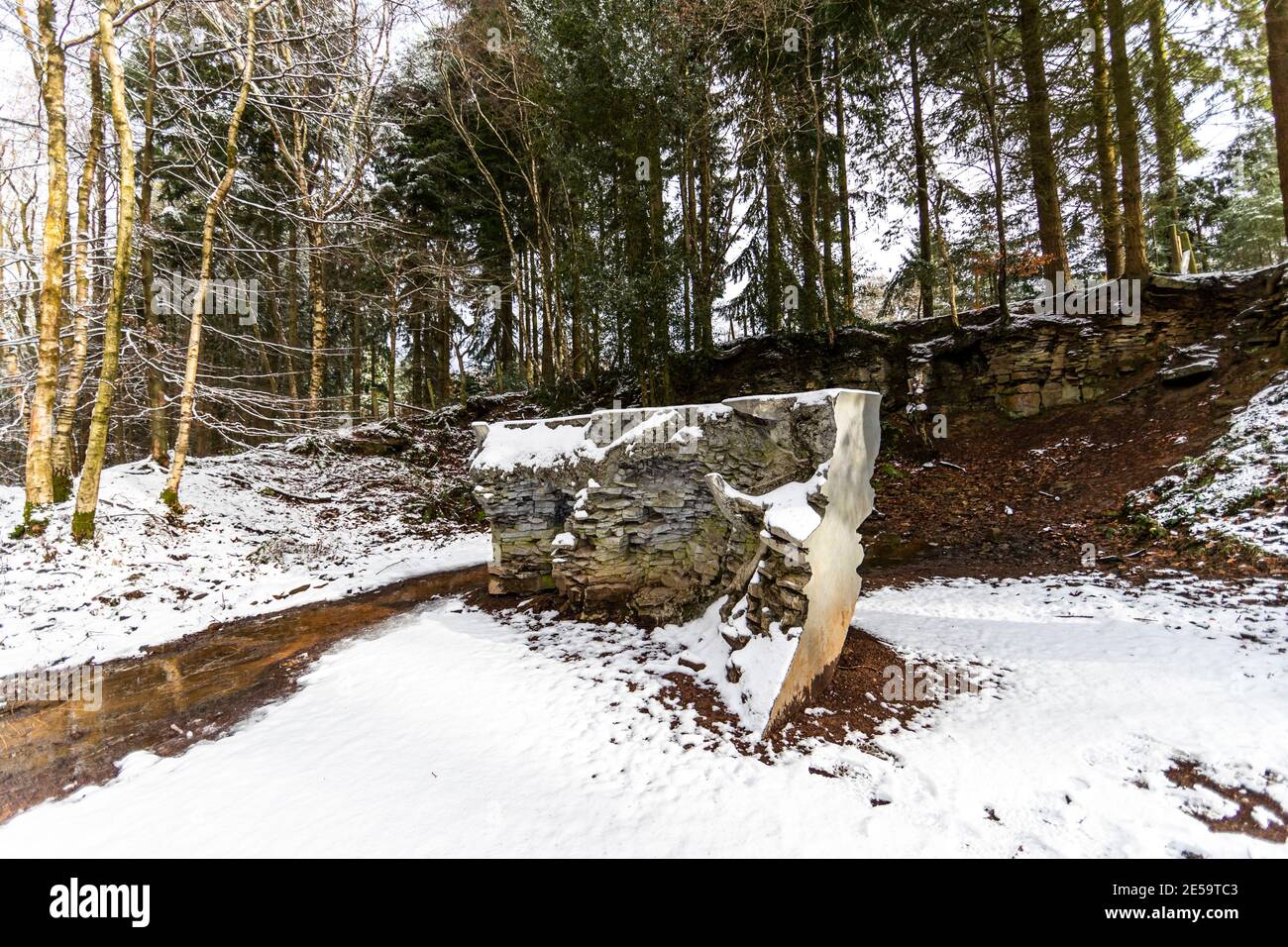 "Echo" by Annie Cattrell. A walk in the snow along the Forest of Dean ...