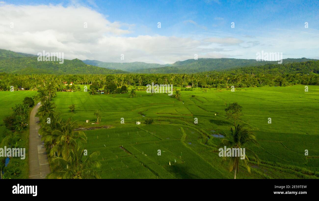 Aerial view of Landscape with farmland, rice fields and green hills ...