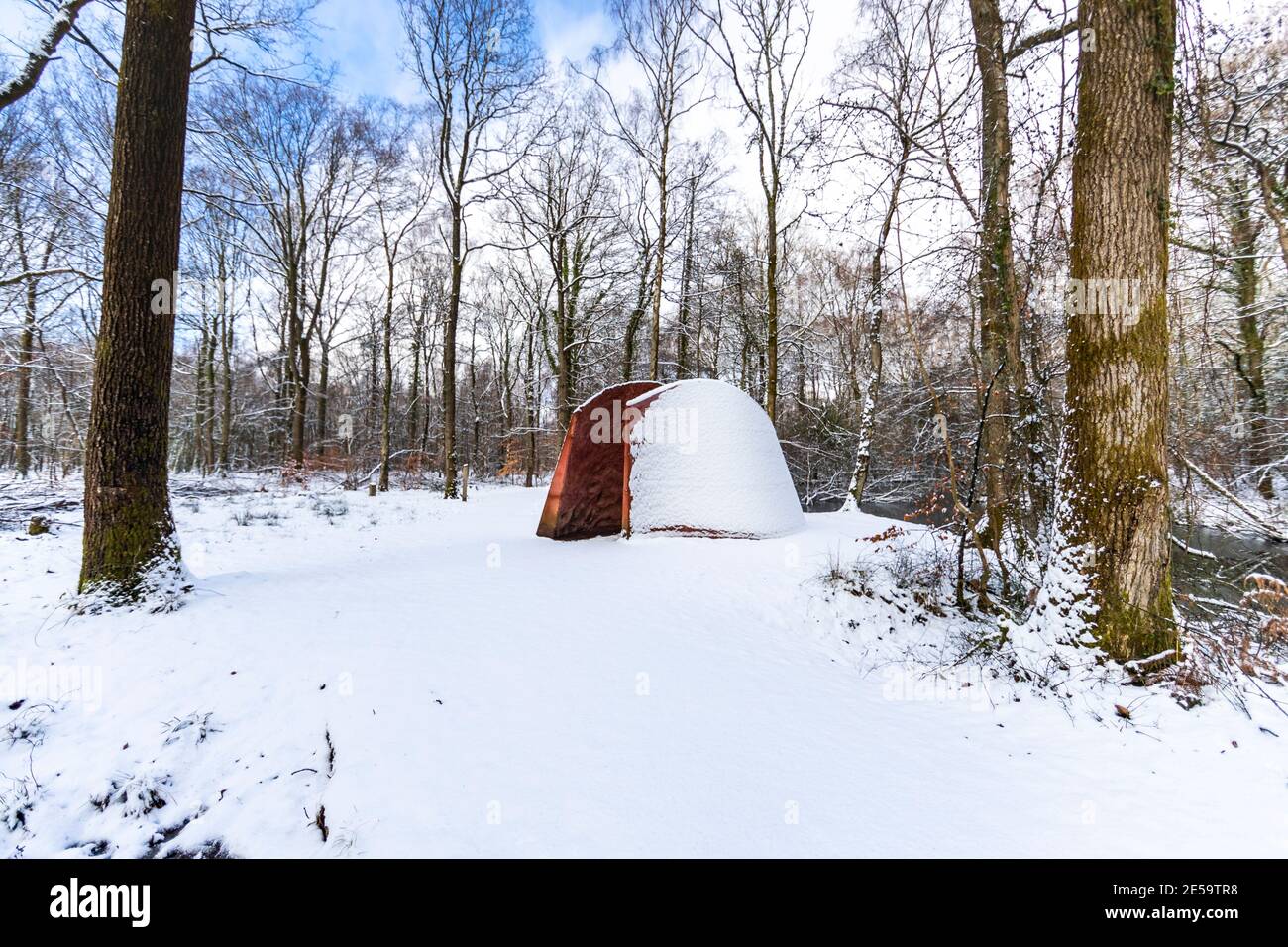 "Threshold" by Natasha Rosling. A walk in the snow along the Forest of ...