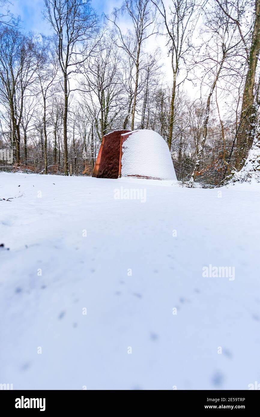 "Threshold" by Natasha Rosling. A walk in the snow along the Forest of ...