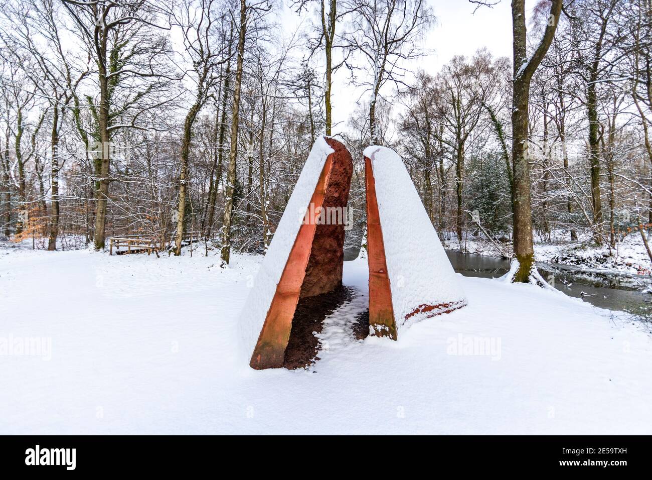 "Threshold" by Natasha Rosling. A walk in the snow along the Forest of ...