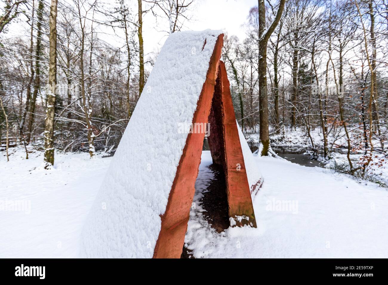 "Threshold" by Natasha Rosling. A walk in the snow along the Forest of ...
