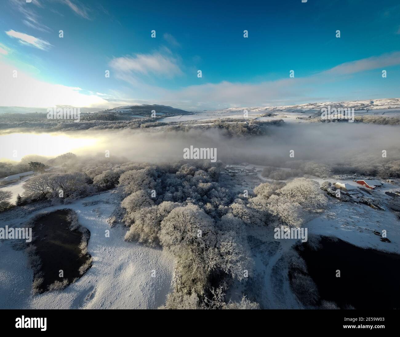 Aerial trees snow hi-res stock photography and images - Alamy