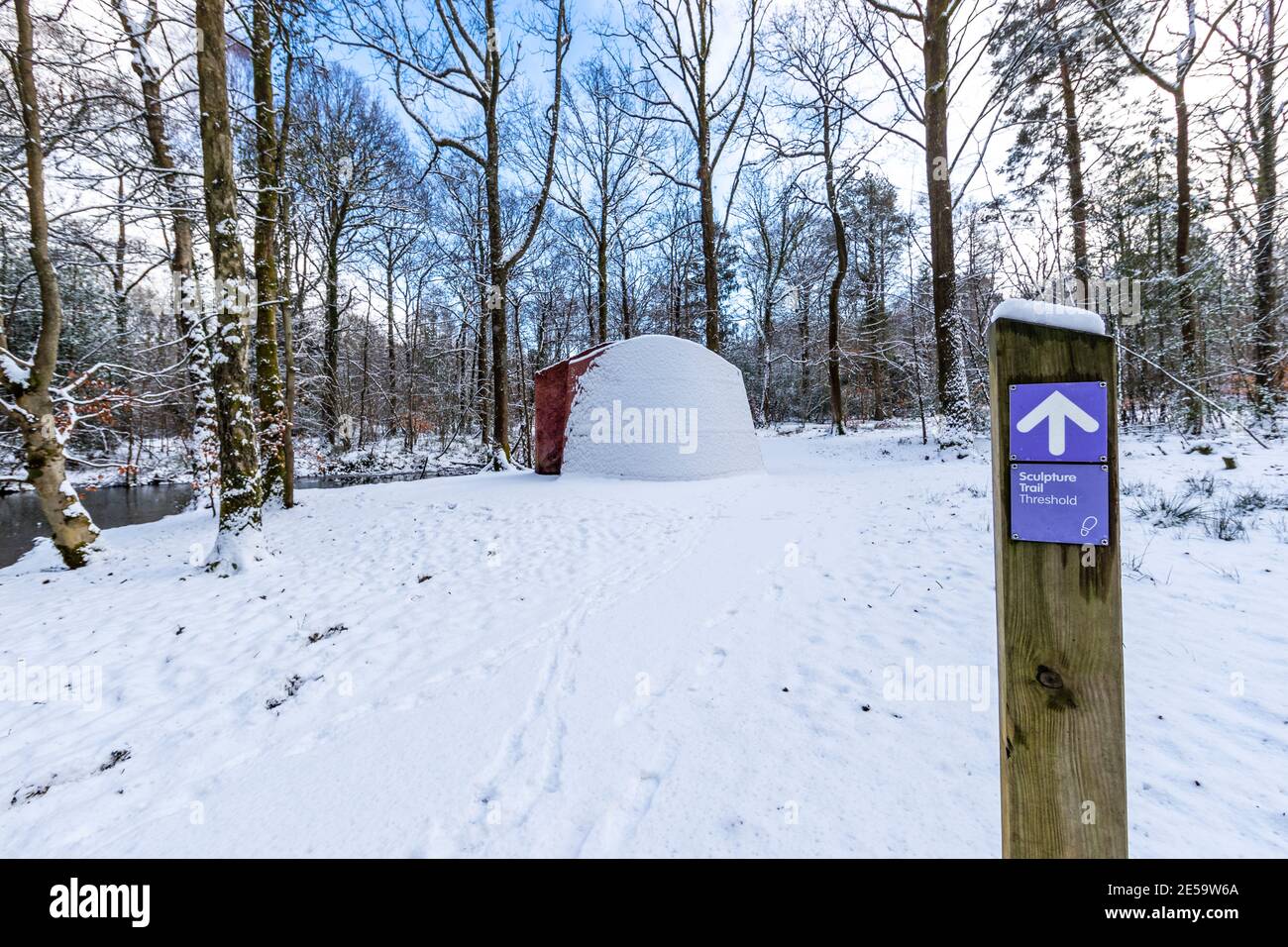 "Threshold" by Natasha Rosling. A walk in the snow along the Forest of ...