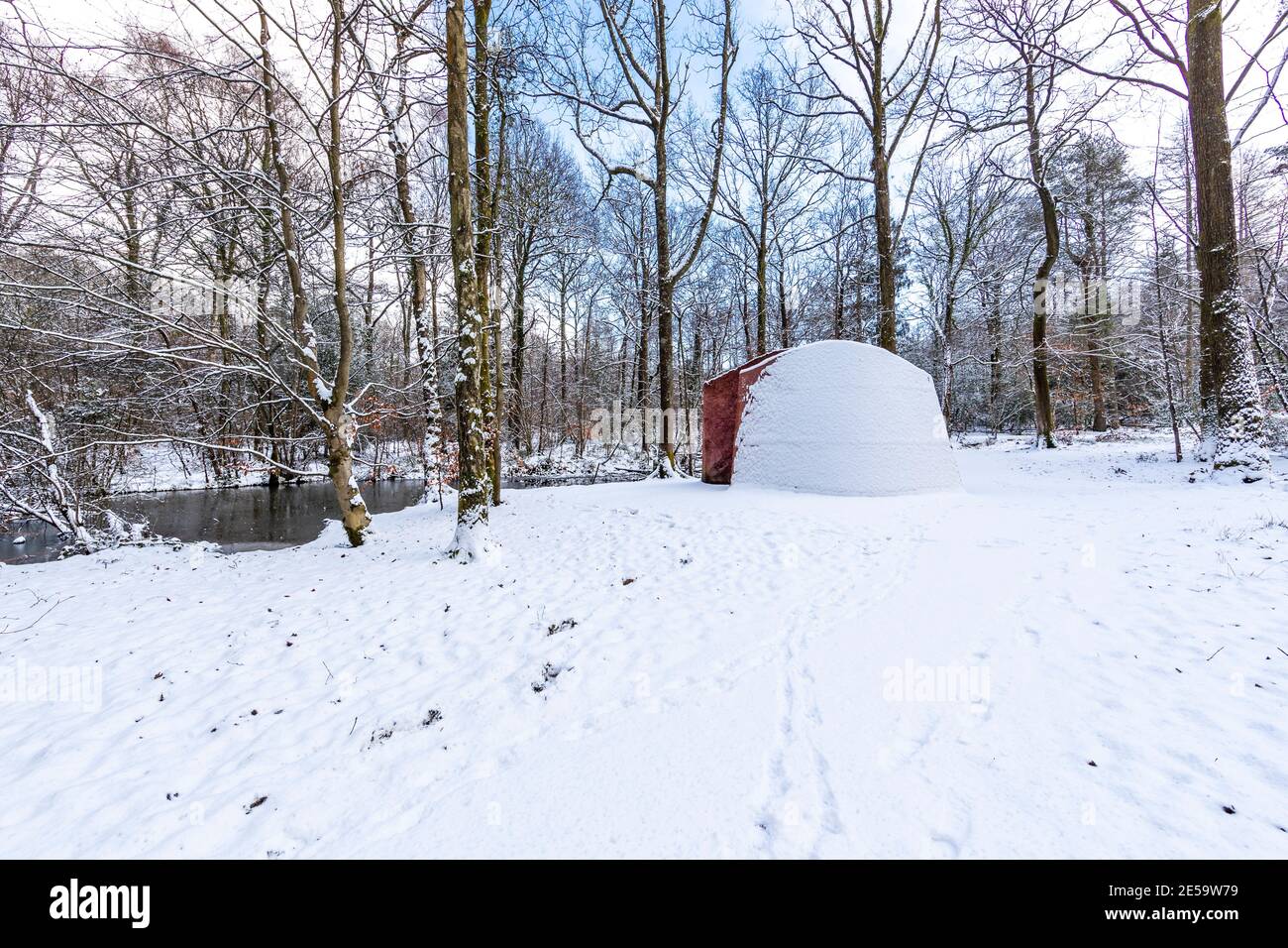 "Threshold" by Natasha Rosling. A walk in the snow along the Forest of ...
