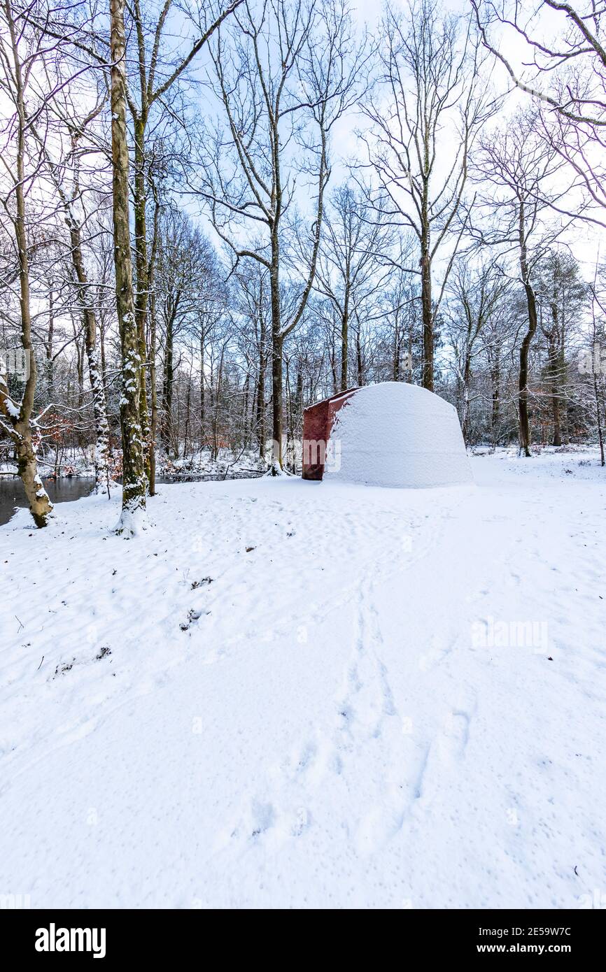 "Threshold" by Natasha Rosling. A walk in the snow along the Forest of ...