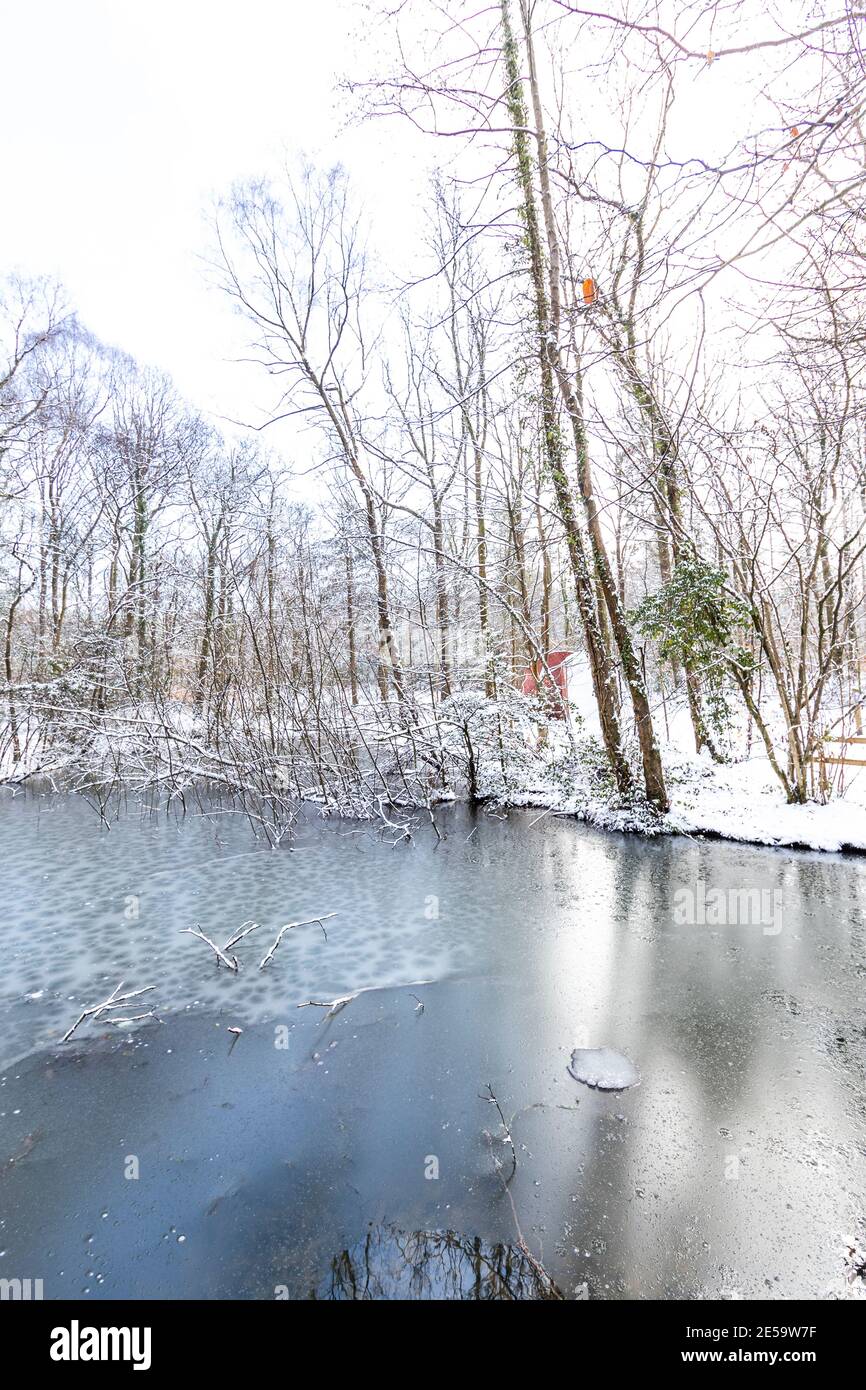 "Threshold" by Natasha Rosling. A walk in the snow along the Forest of ...