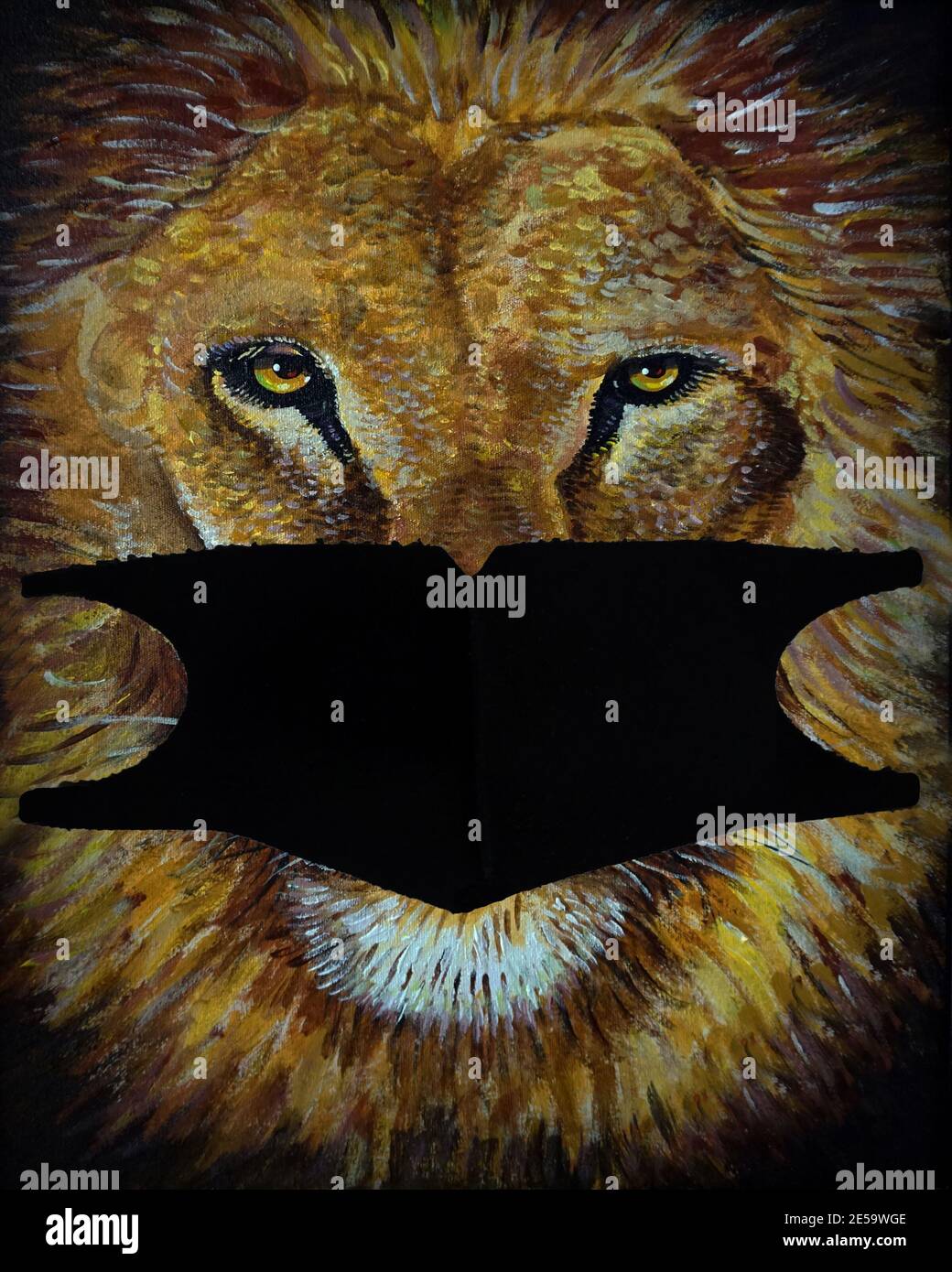 Lion scared face hi-res stock photography and images - Alamy