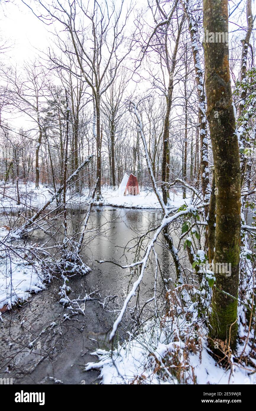 "Threshold" by Natasha Rosling. A walk in the snow along the Forest of ...