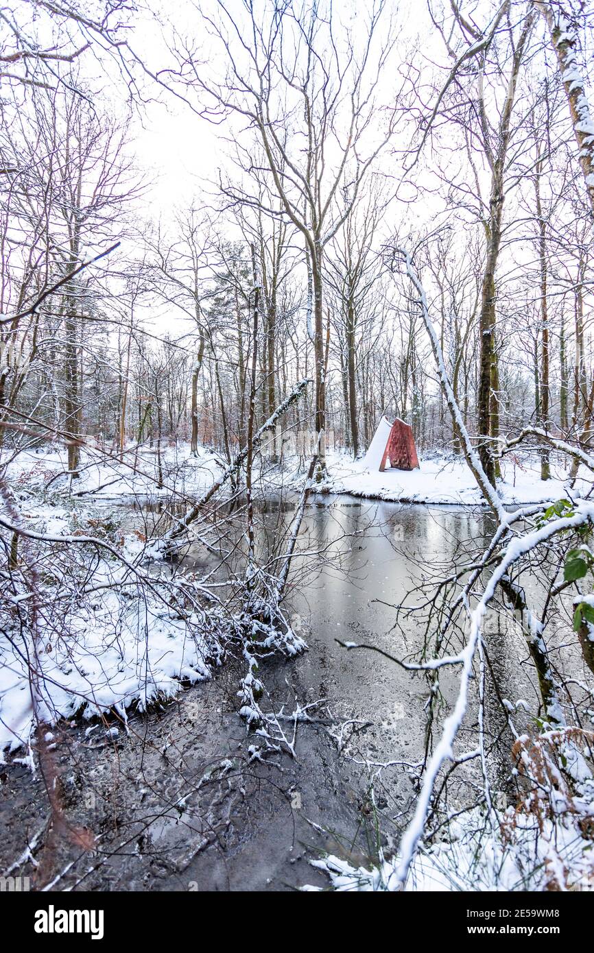 "Threshold" by Natasha Rosling. A walk in the snow along the Forest of ...