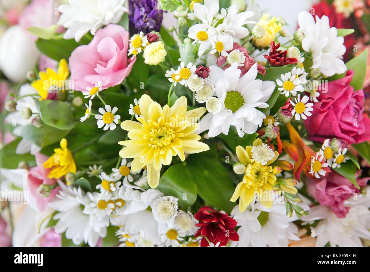 Bouquet made different colorful hi-res stock photography and images - Alamy