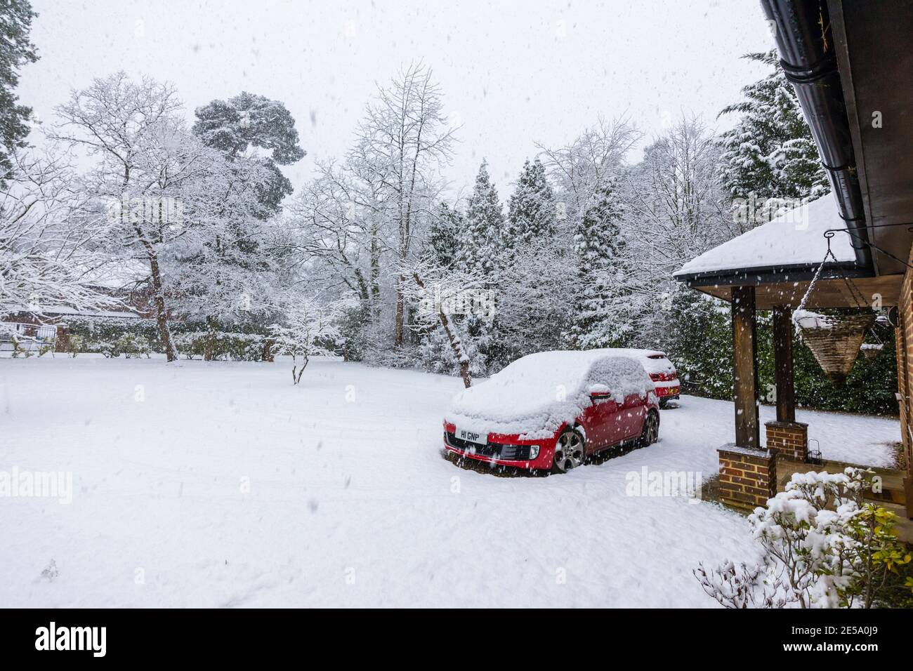 A red Volkswagen Golf GTI car parked in a suburban drive covered in ...