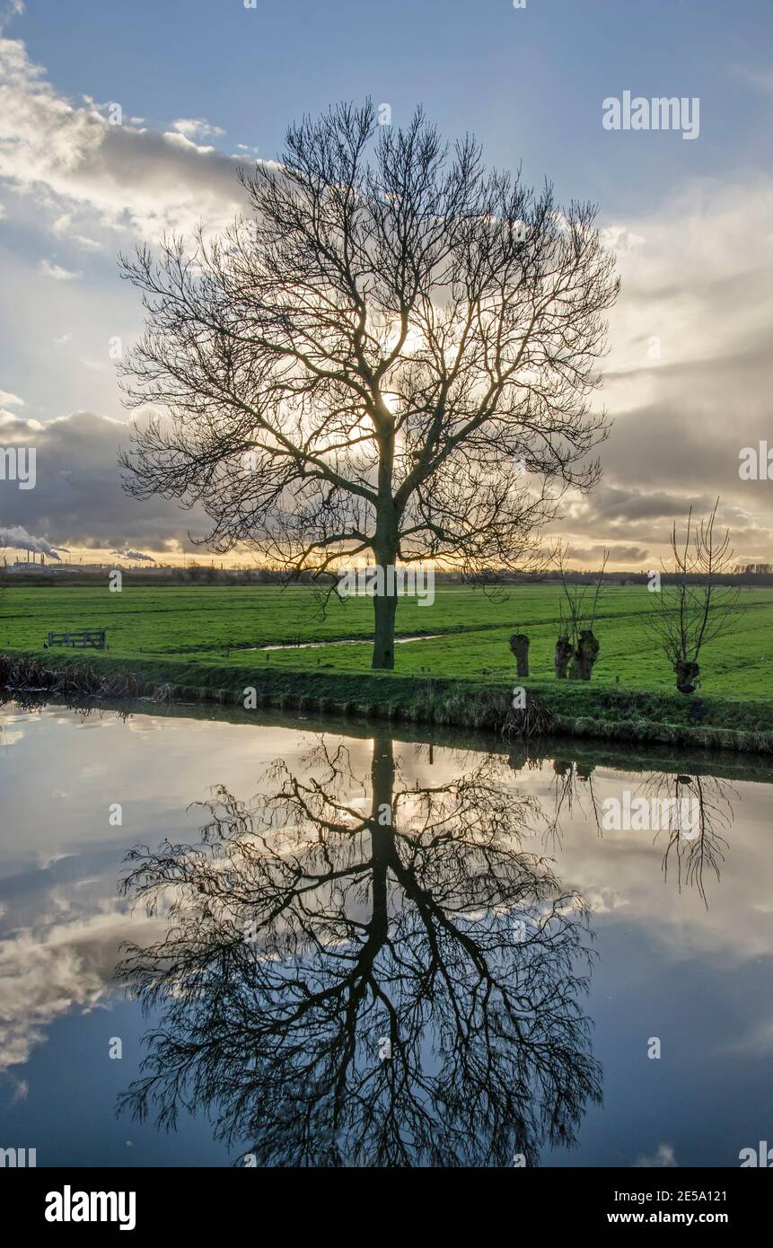 Solitary tree and spectacular sky reflecting in the calm water of a ...