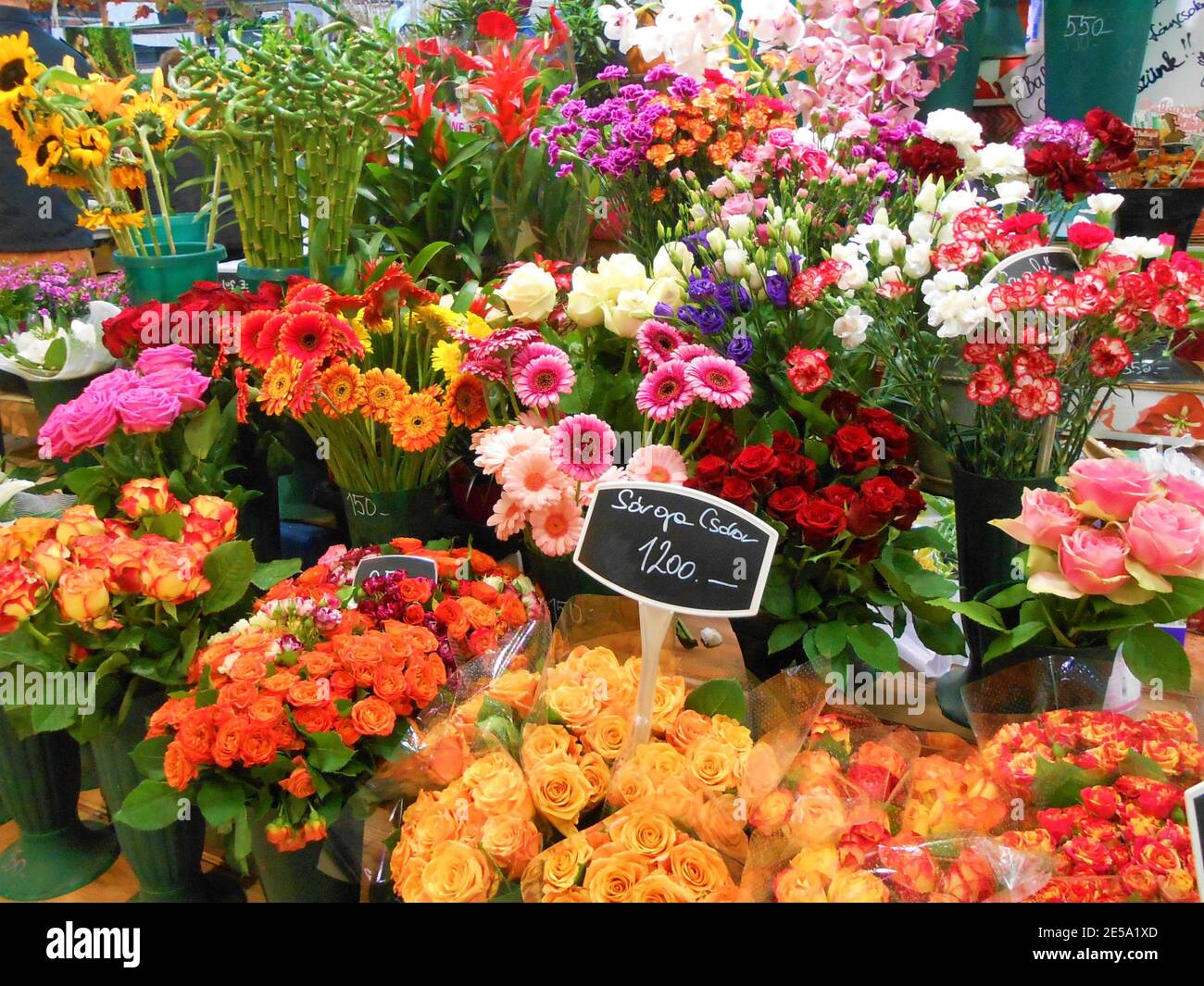 Hungary flower market hi-res stock photography and images - Alamy