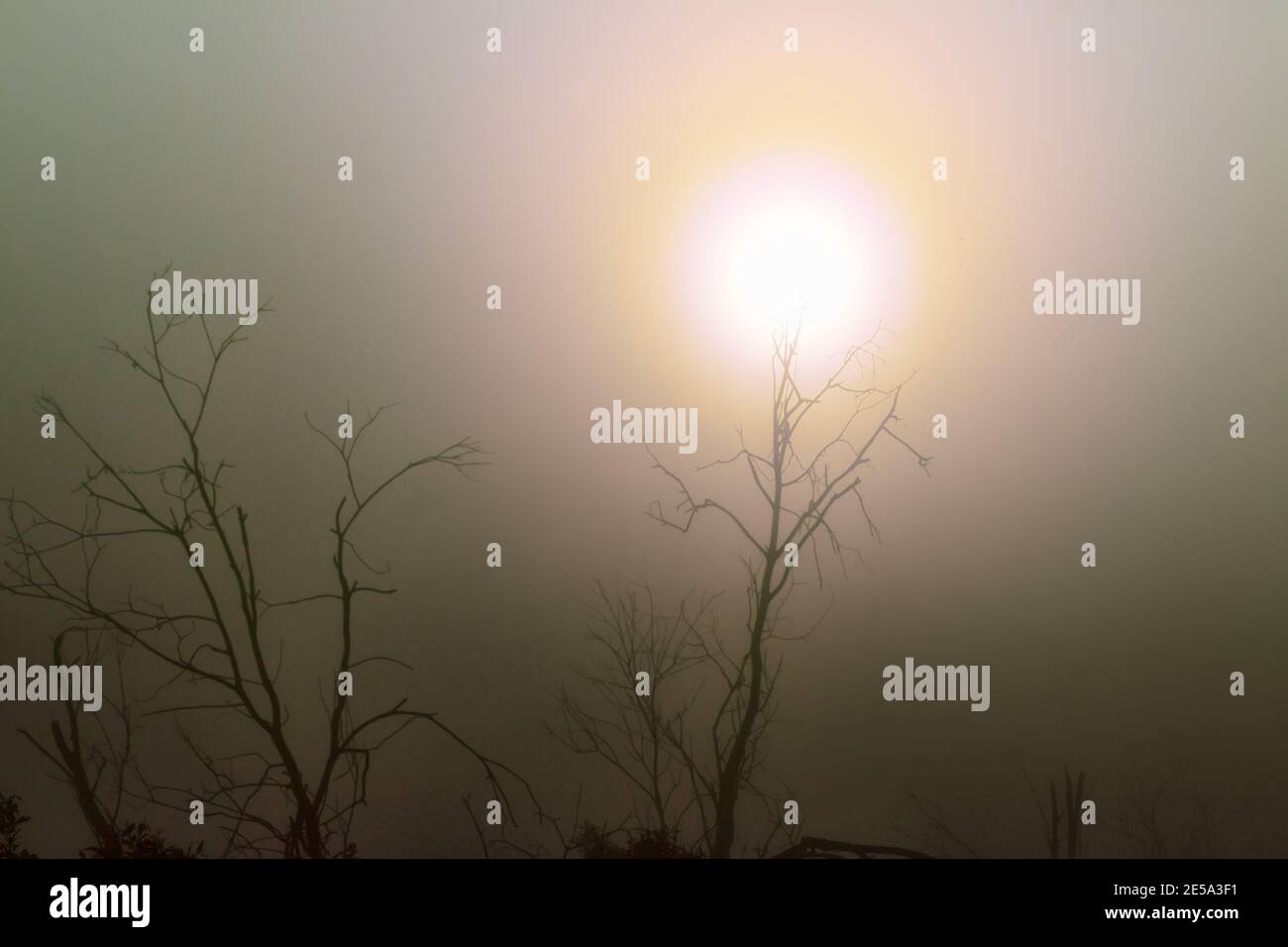 Mooning hi-res stock photography and images - Alamy