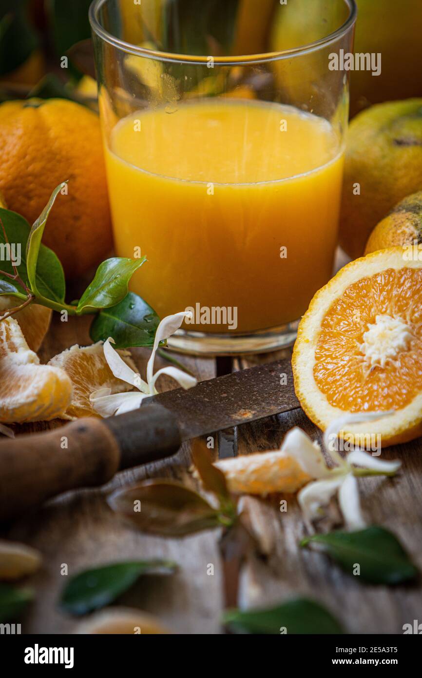 several organic oranges grown without insecticides or fertilizers Stock ...