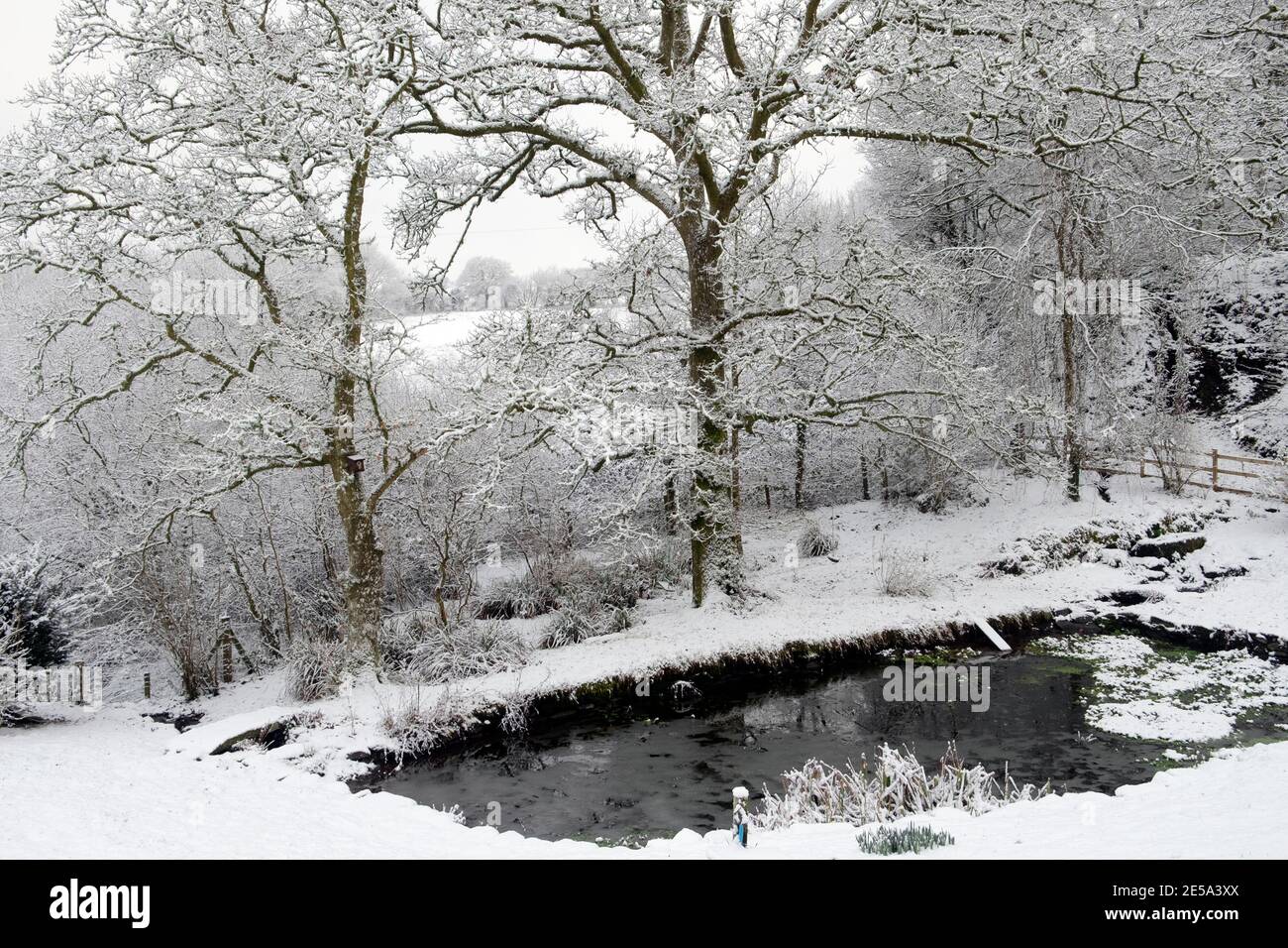 Garden Pond Winter High Resolution Stock Photography and Images - Alamy