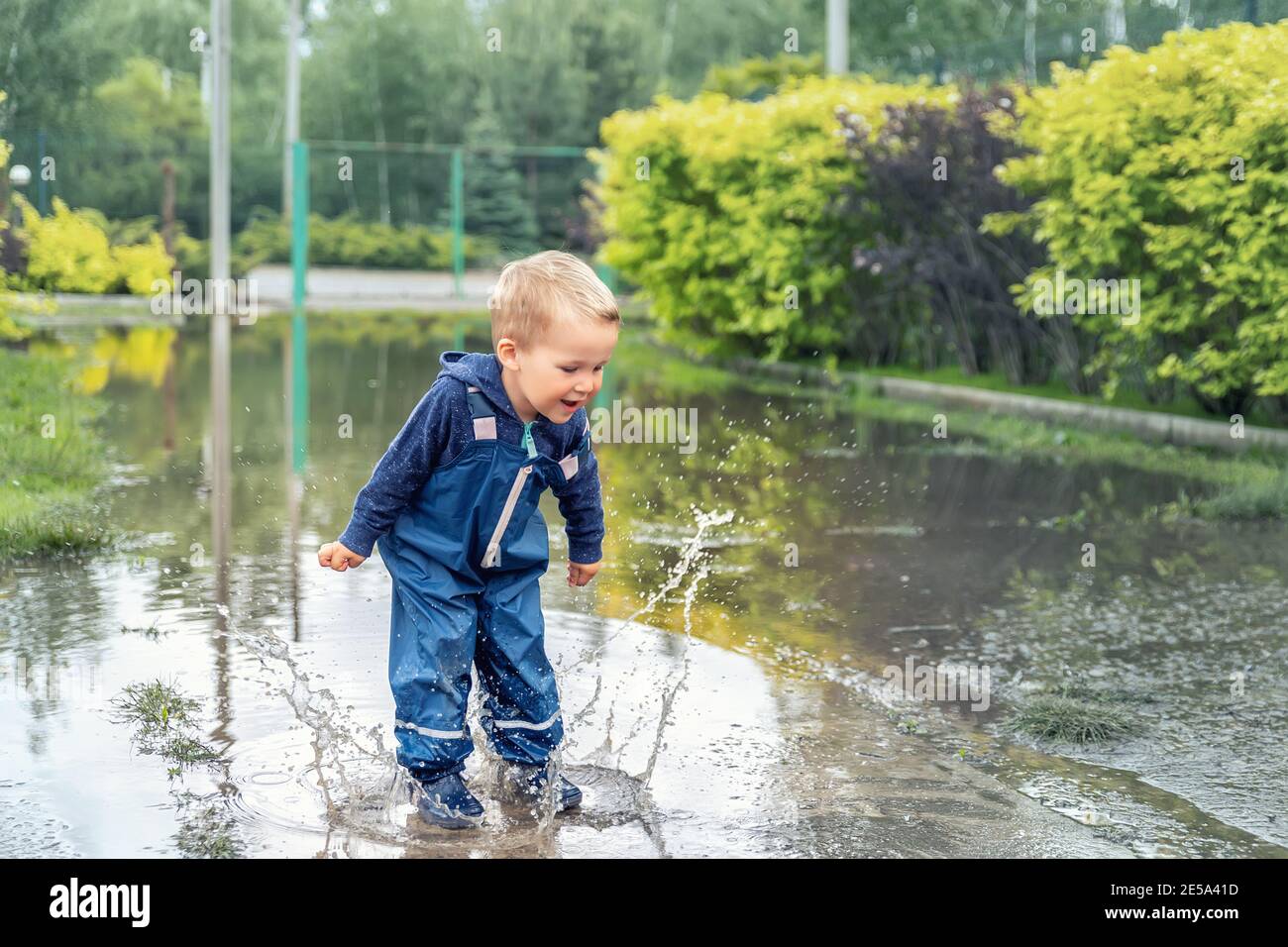 Stomp High Resolution Stock Photography and Images - Alamy