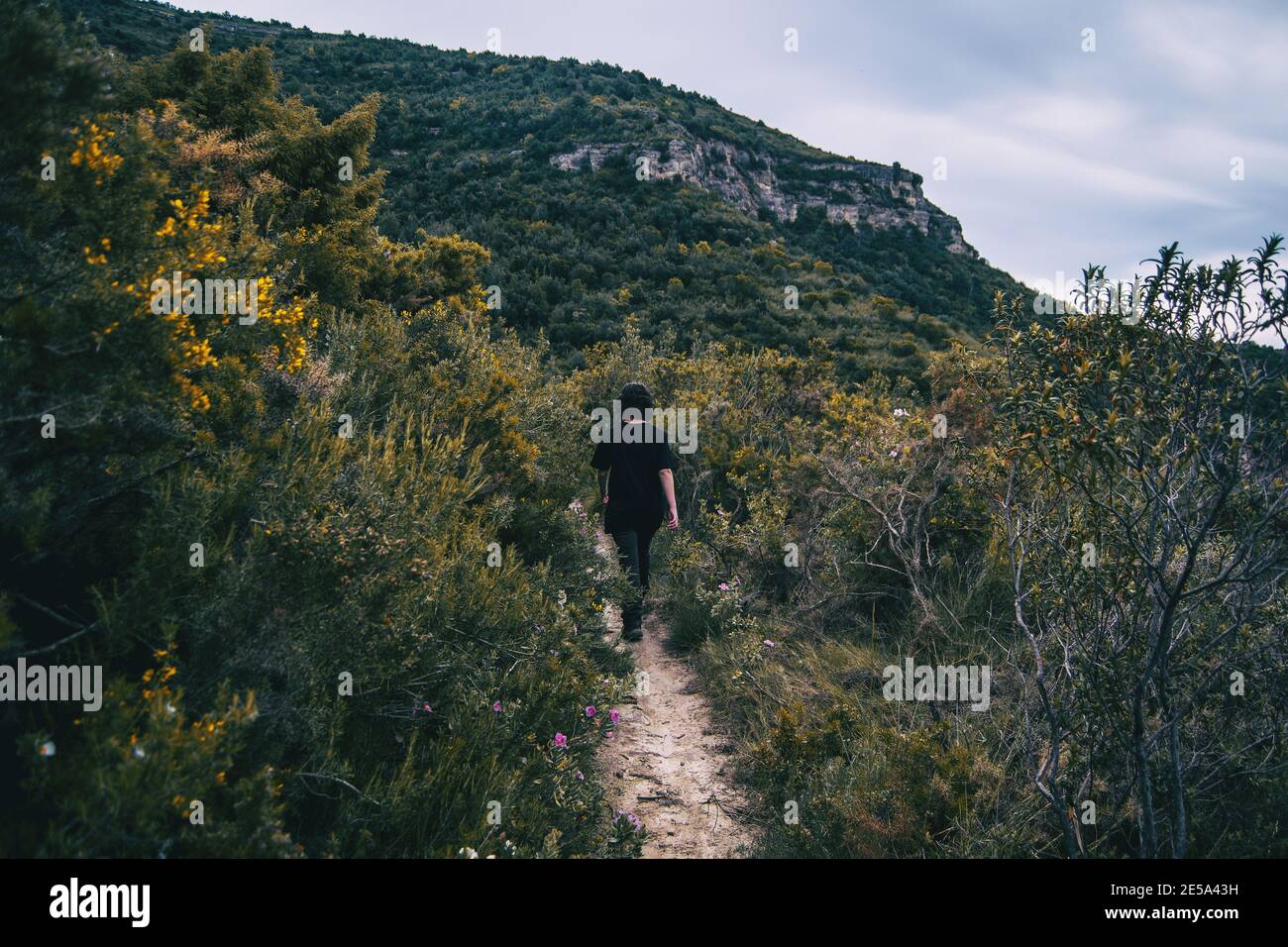 A girl hiker behind her back walking on a mountain path in nature Stock ...