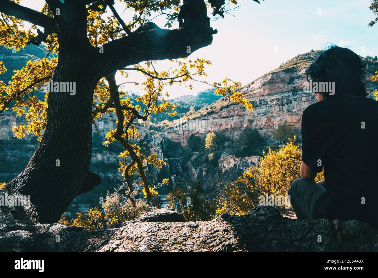 A girl with her back sitting under the shade of a tree enjoying the ...