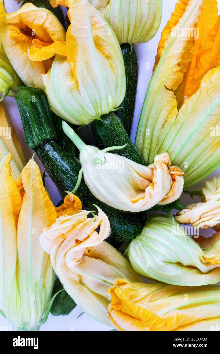 Courgette fresh growth hi-res stock photography and images - Alamy